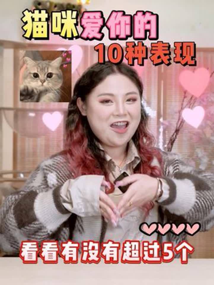 猫咪爱你的10种表现,5个以上说明超爱你