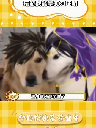 这次是真的有点吸引到我了!#逆水寒 #大学生 #实习证明 #毕业