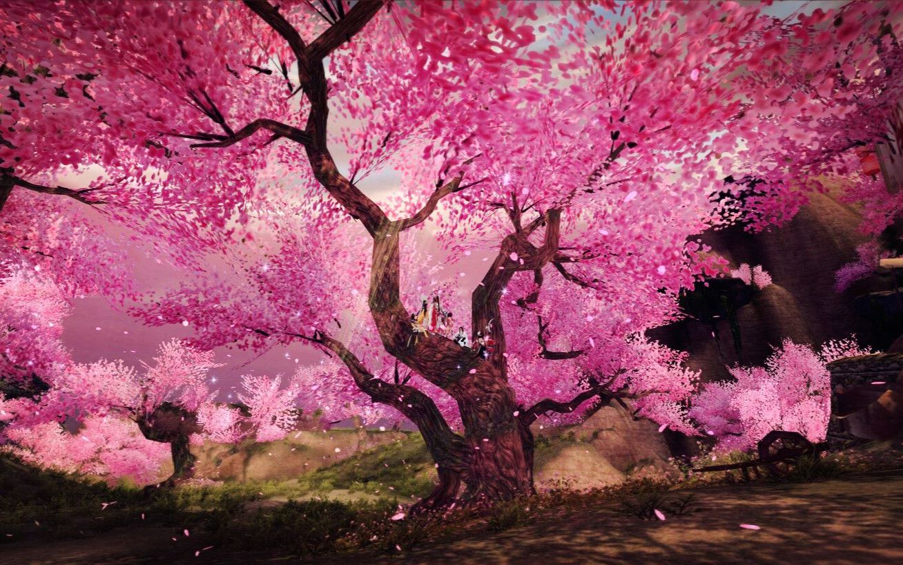 【剑网三】莫忘初心,共骋江湖(亲友双人轻功飞飞飞,相信我狗粮很好吃)