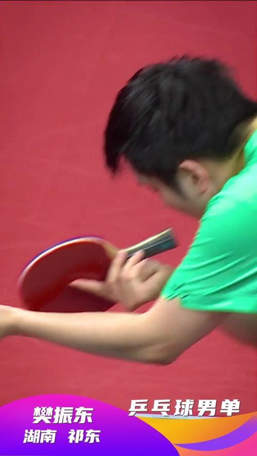 樊振东-乒乓球男单 巅峰对决精彩时刻