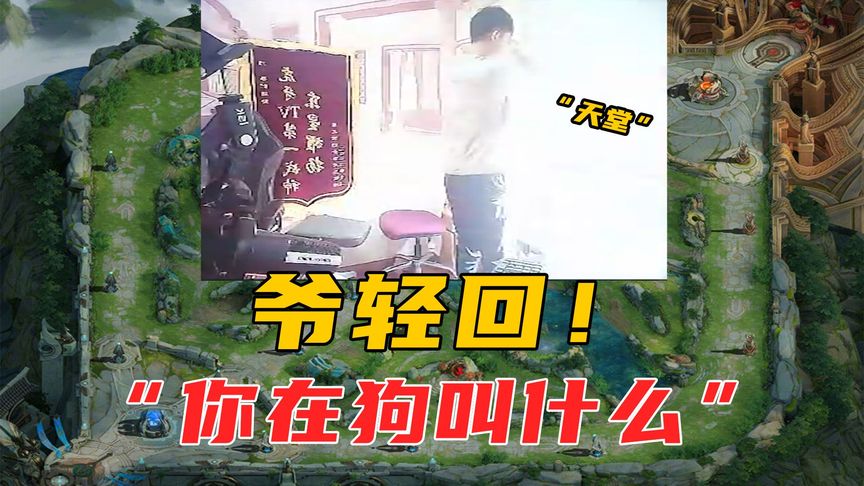 时隔数月一声”你在狗叫什么”直接爷轻回!