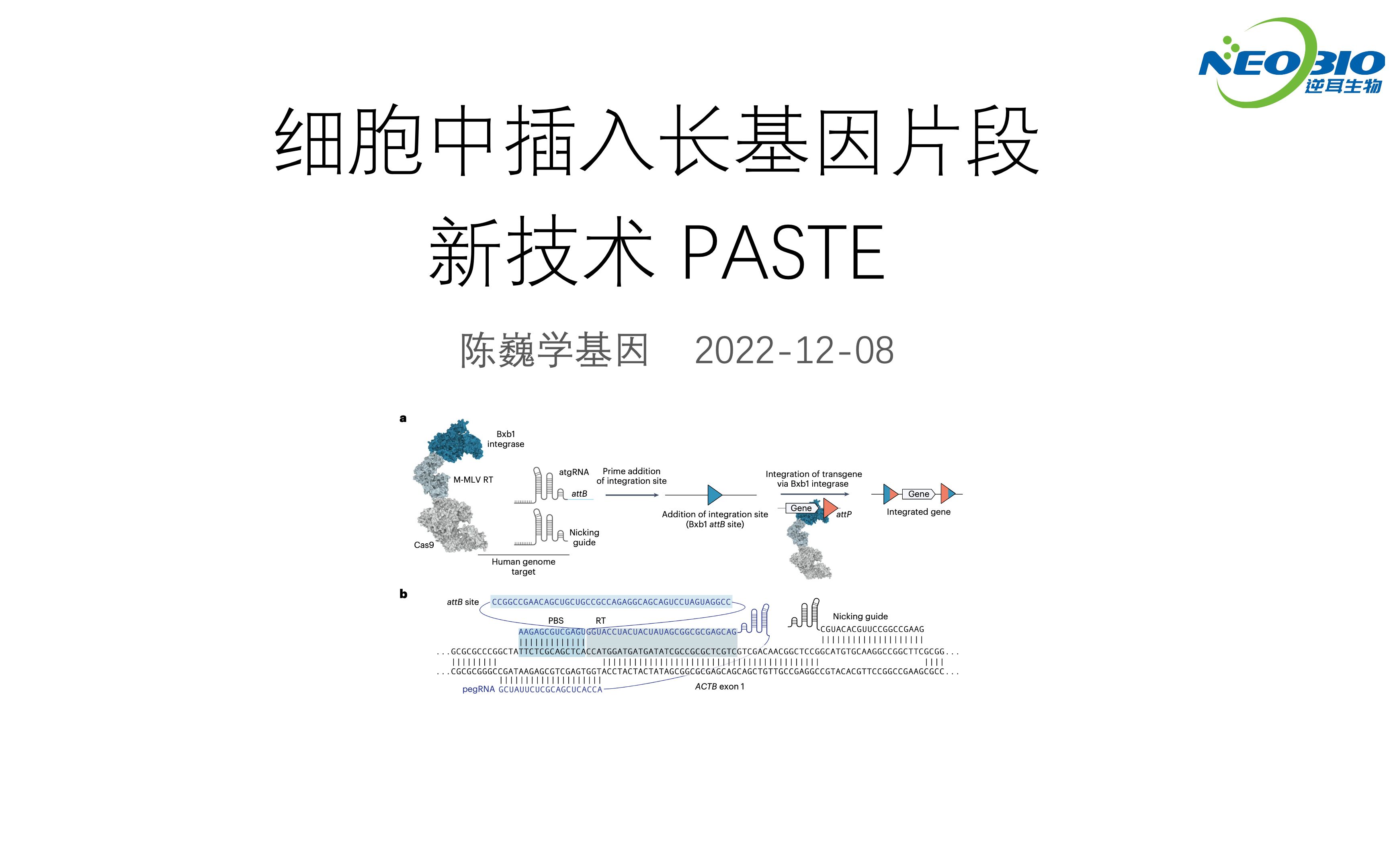 【陈巍学基因】视频98: 细胞中插入长基因片段新技术--PASTE