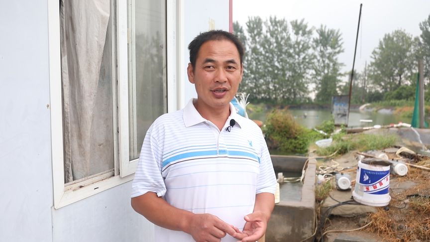 为啥水泥缸内养鱼,一年不管还能活蹦乱跳?看来不能少了这一点