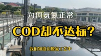 氨氮指标正常,为何COD却不达标?听完涨知识了