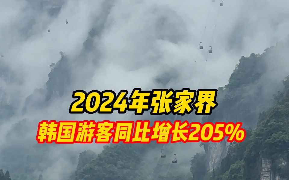2024年张家界天门山景区韩国游客同比增长205%
