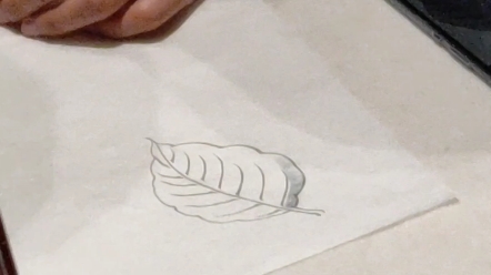 中国工笔画 叶茹斋工作室 示范 树叶的画法 分染