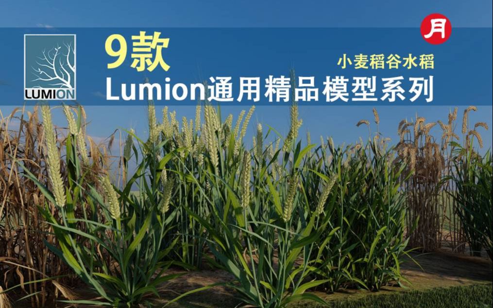 9款Lumion通用精品模型素材库 小麦稻谷水稻系列