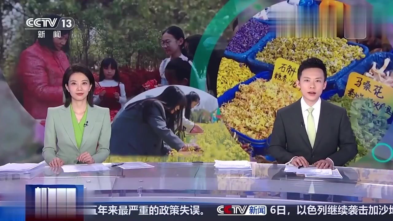 以花为媒传承传统文化