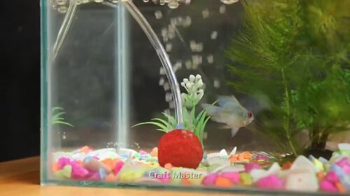 如何使水族馆过滤器没有泵