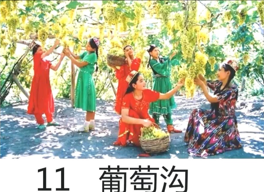 统编语文二年级上册 第11课《葡萄沟》课文朗读