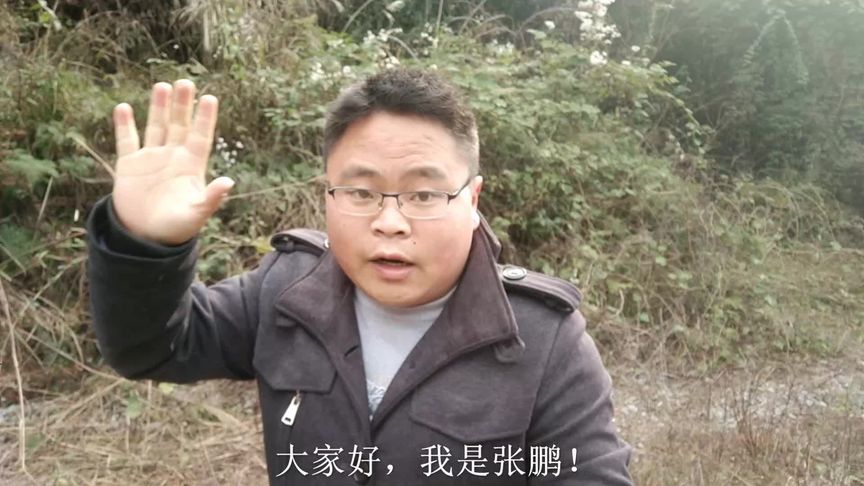 90后新农人尝试有机水稻种植,在清理田坎时就遇到了大麻烦