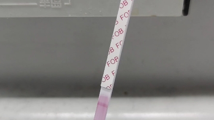 大便隐血试验(胶体金法)