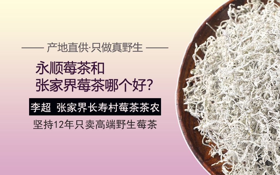 永顺莓茶和张家界莓茶哪个好?