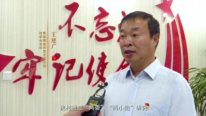 组织化推动,集团化运营,发展壮大农村集体经济的广平样本