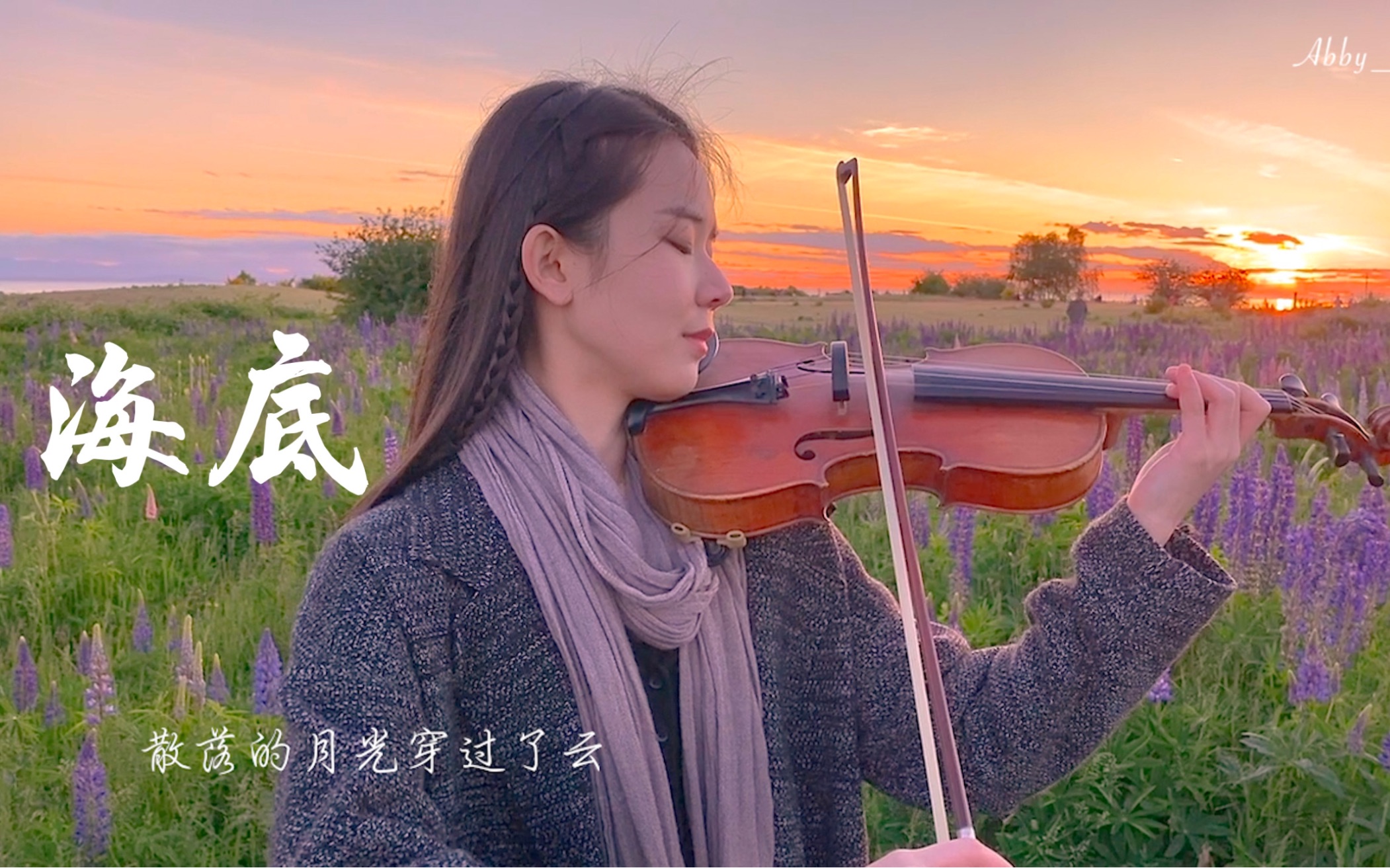 漂洋过海千里温暖你「海底」小提琴版|一只榴莲
