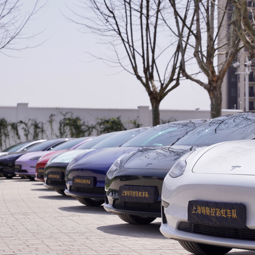 上海特斯拉彩虹车队 