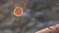 为什么打喷嚏能传染病毒,病毒是怎样感染的和传染的,看完这个视频你...