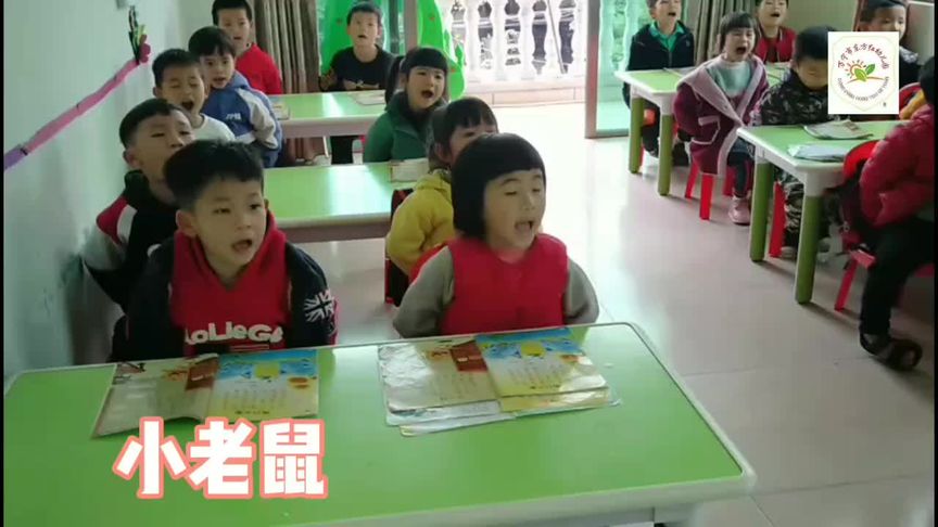 多媒体教学,更吸引宝宝。