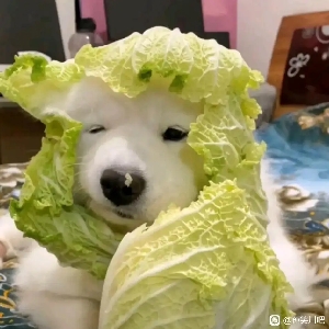 滑铲急停平地摔 