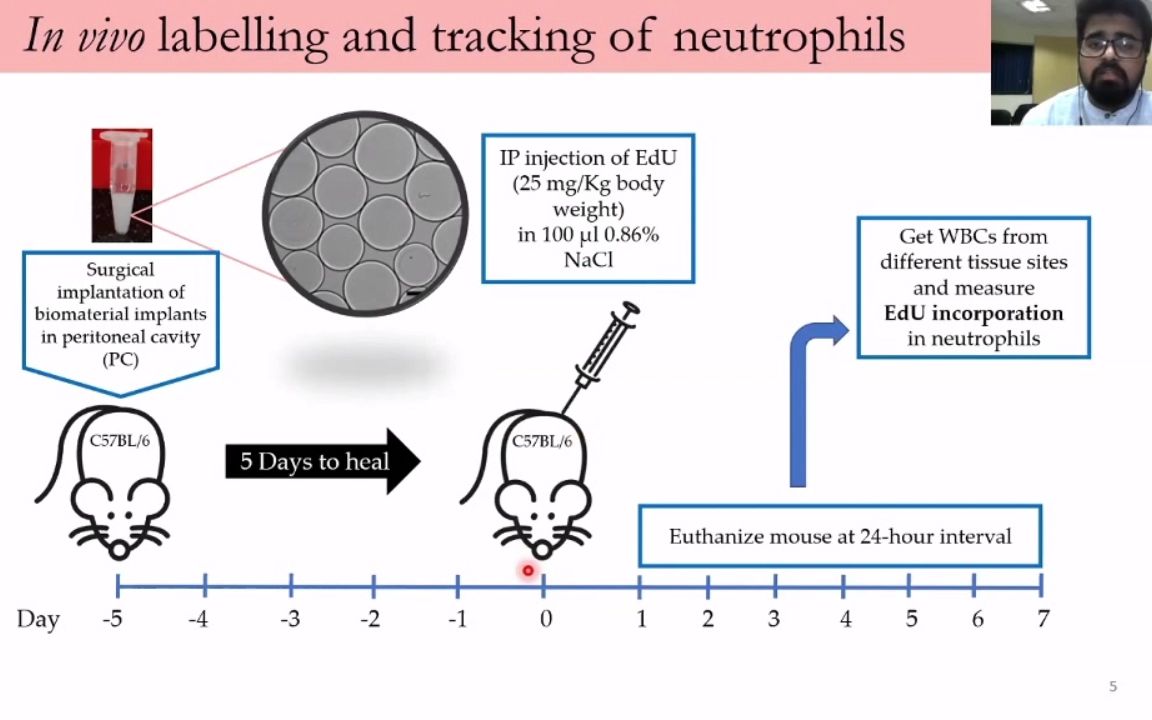 2020 第十一届世界生物材料大会-生物材料的免疫特性设计 part 1|| #...