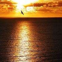 网络知识新文章 