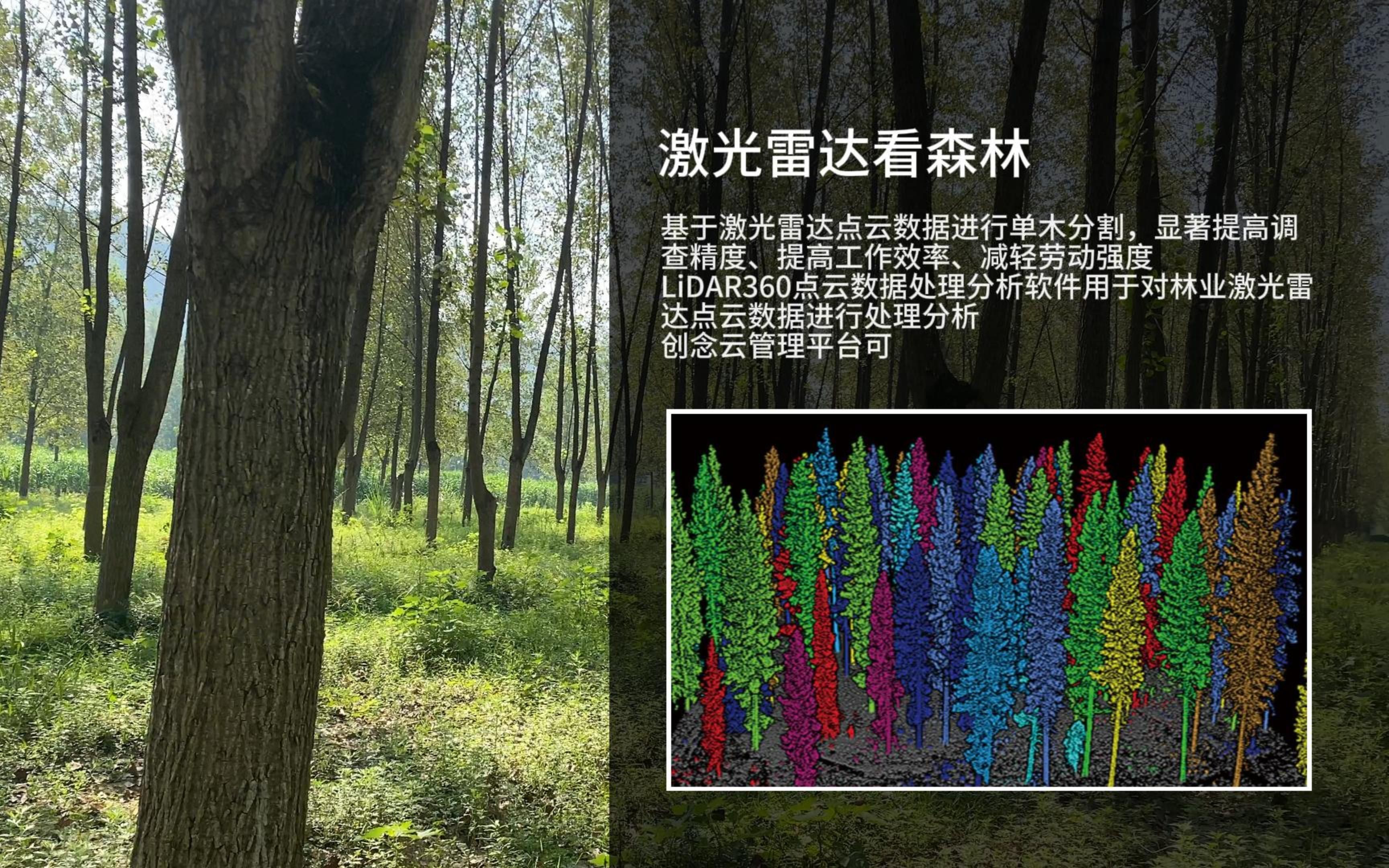 林业可视化应用解决方案