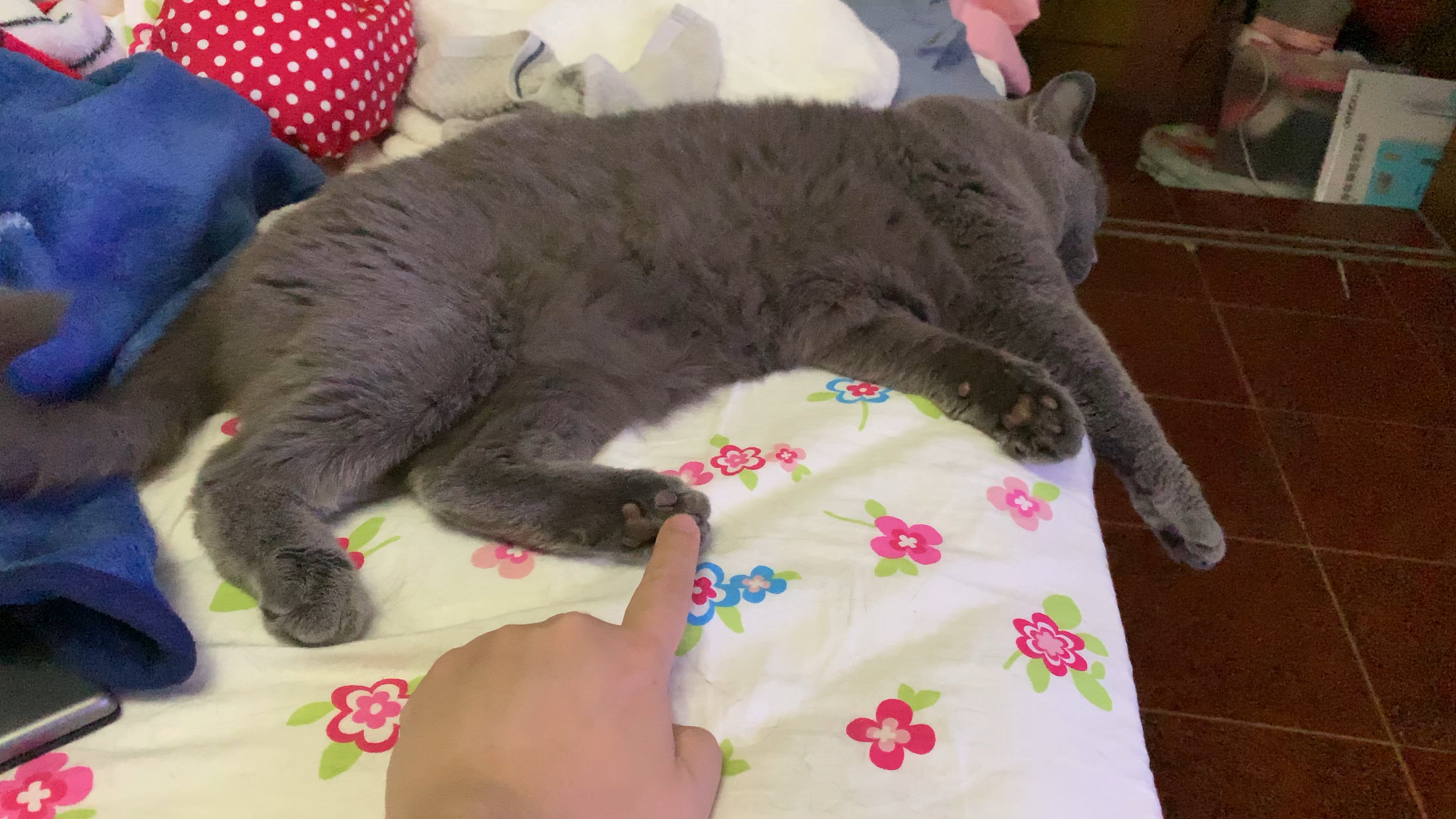 满清十大酷刑之挠脚心