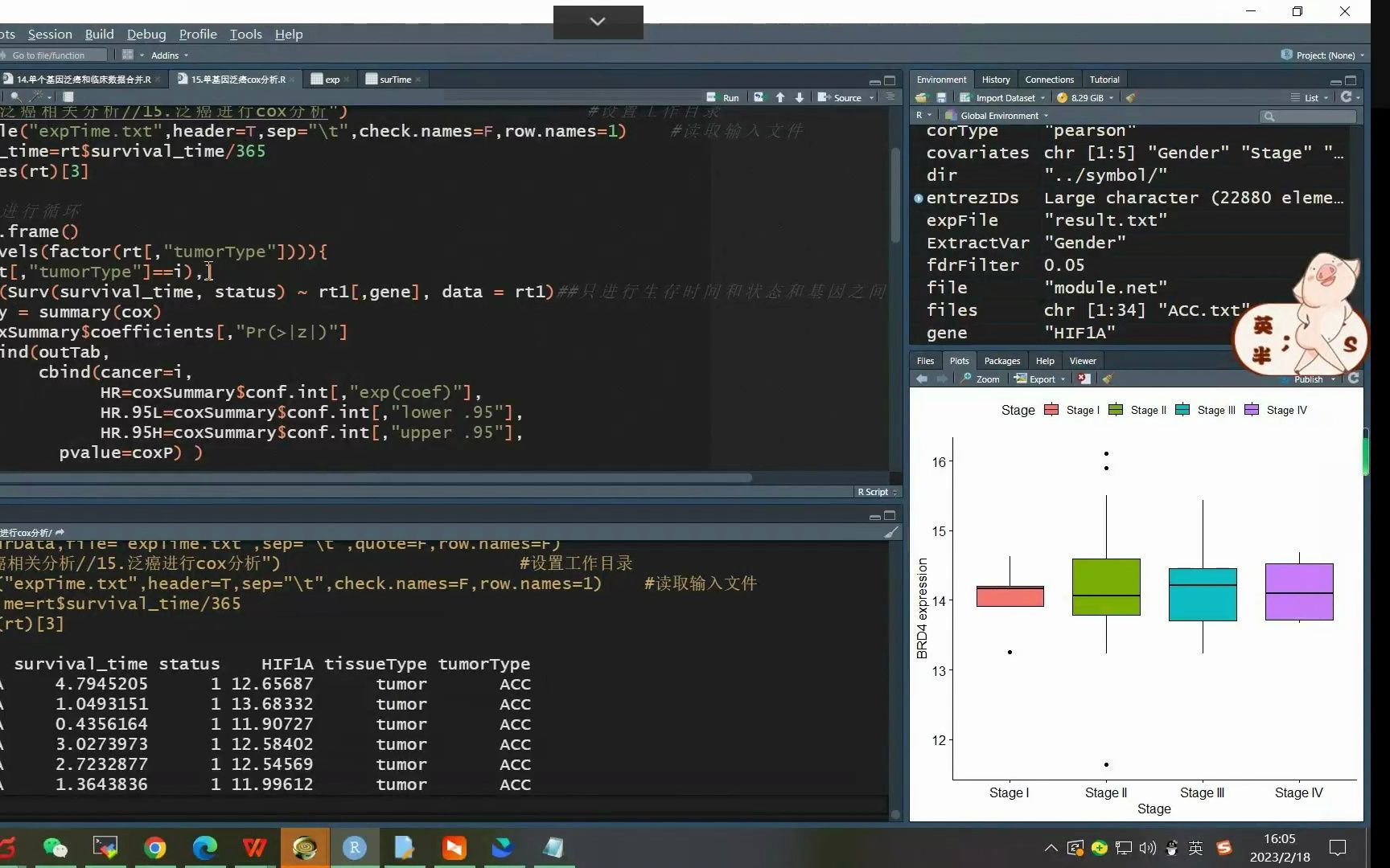23.单基因泛癌cox回归分析代码详解