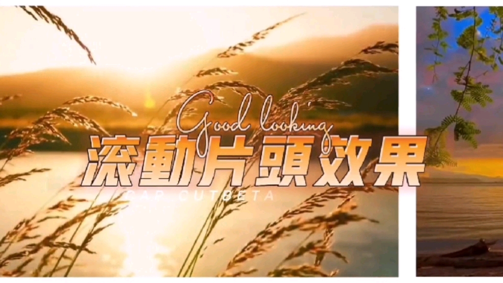 左右滚动动画效果短视频剪辑,只用几张照片添加关键针,轻松完成