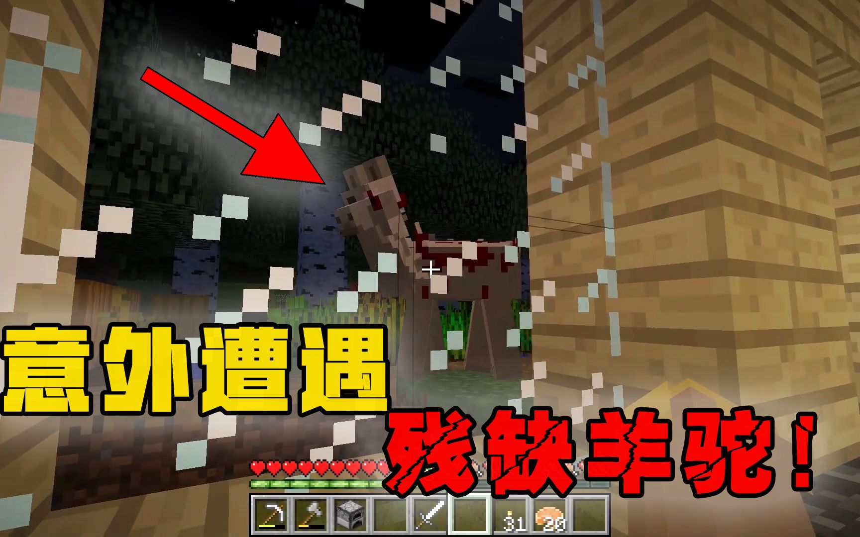 我的世界:残缺驼马身上的奇怪秘密!_单机游戏热门视频