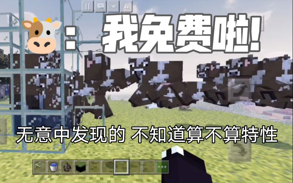 【mc网易手机版】不用命令方块 让生物飞起来ԅ( ˘ω˘ ԅ)