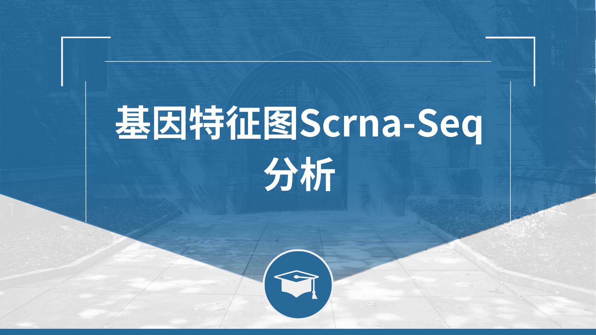 基因特征图Scrna-Seq分析