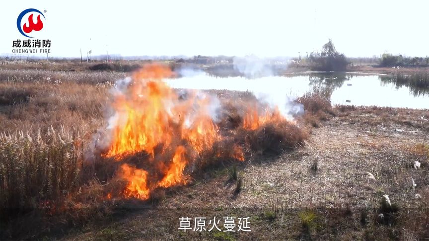 森林、草原火灾的正确灭火方式