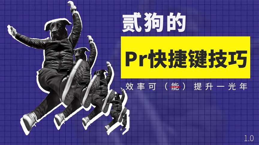 【贰狗】这样设置Pr快捷键,效率可(能)提高一光年