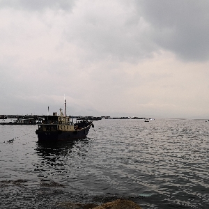 To__nY 