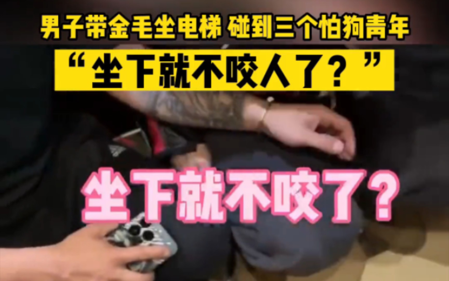 男子带金毛坐电梯碰到三个怕狗青年 “坐下就不咬人了?”
