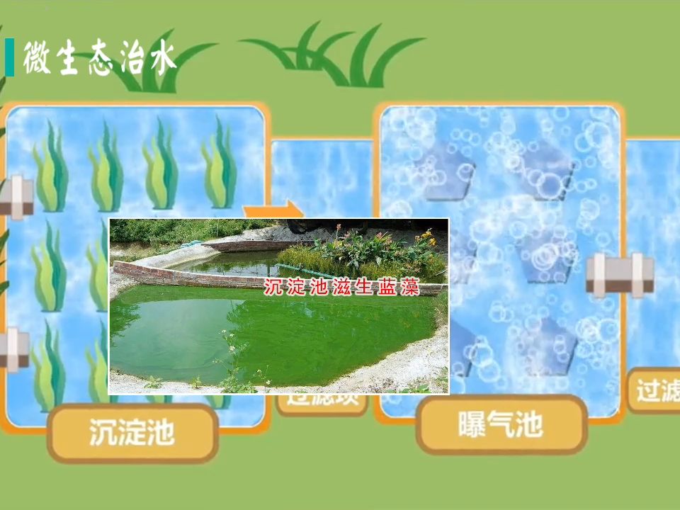 养殖尾水处理用可再生型生物滤坝(三池两坝工艺)