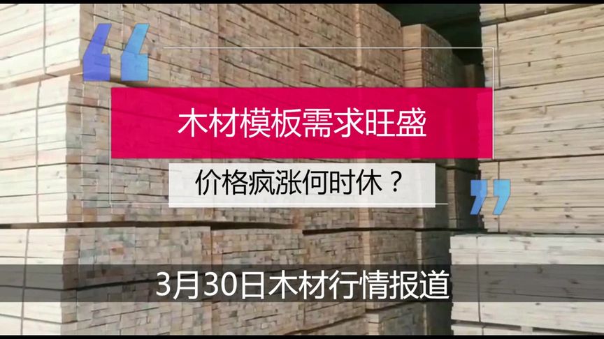 木材模板需求旺盛,价格疯涨何时休!#建筑木材加工厂 #建筑模板