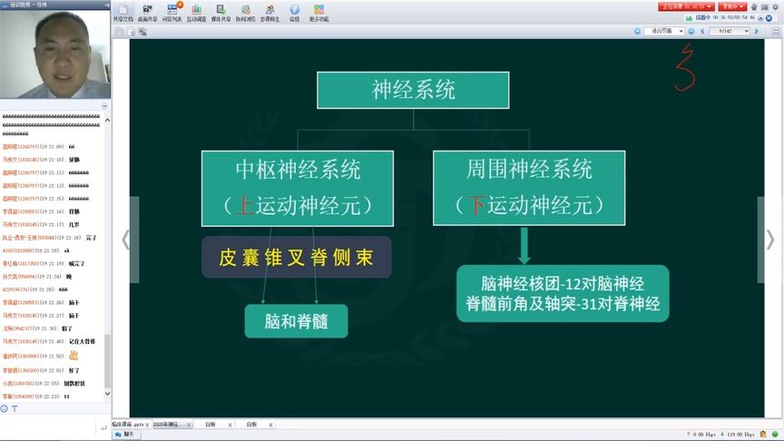 神经系统都有哪些功能?专家讲解是由两大神经系统组成的