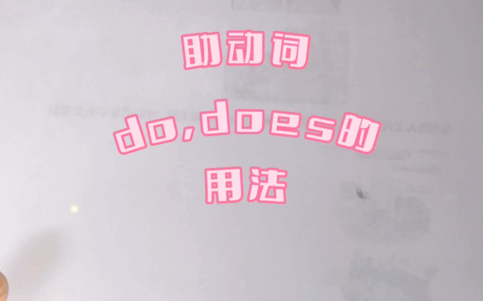 助动词do,does 的用法