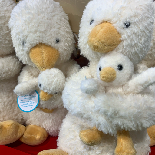 轻松上岸安全员 