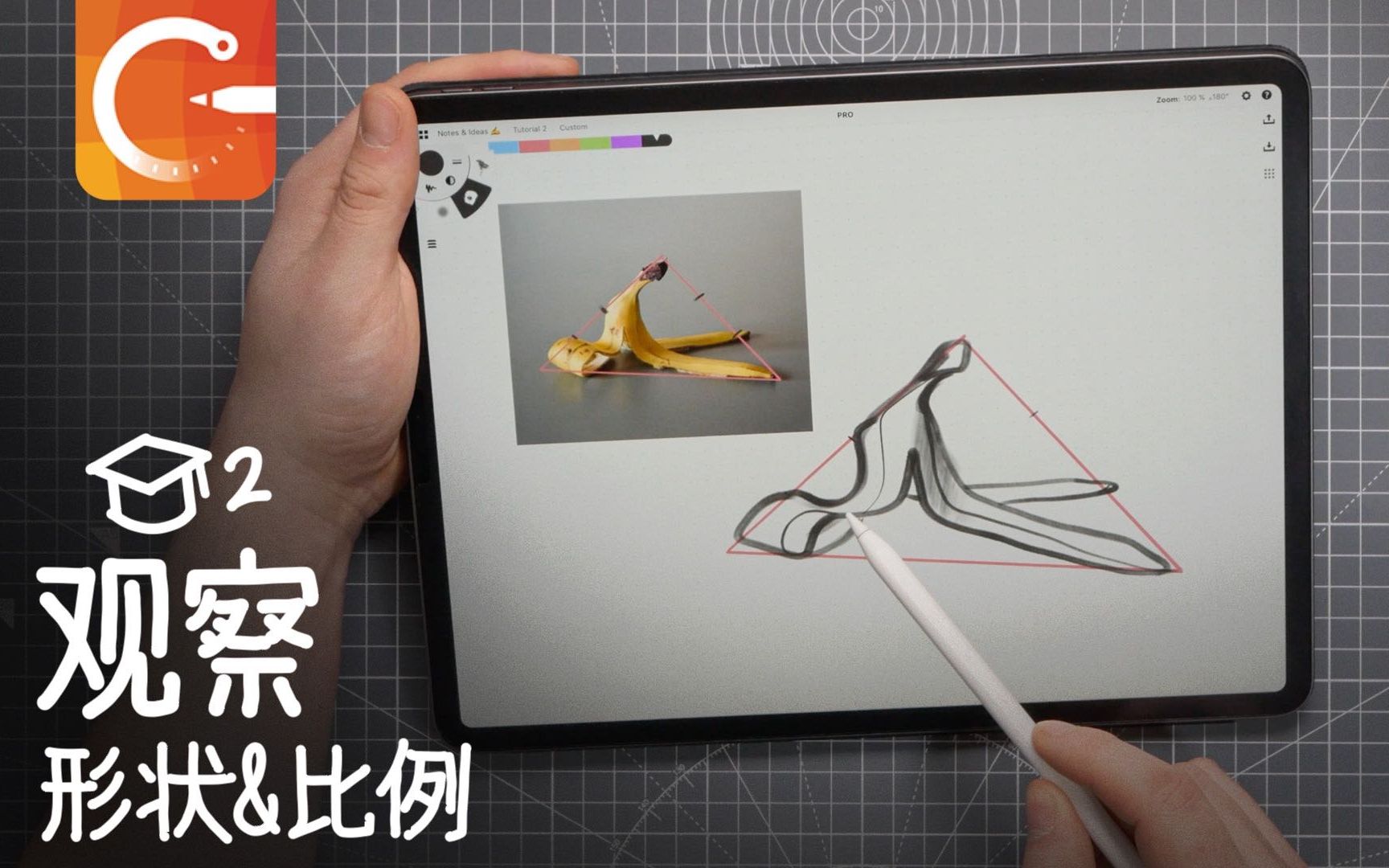 概念画板学习画图Part 2:比例和参考