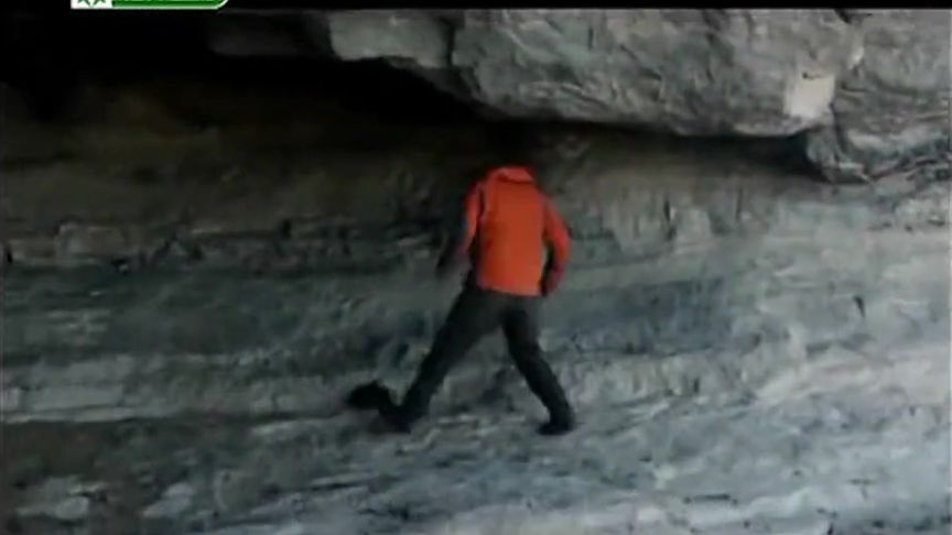 野外迷路怎么办?野外迷失方向辨别方法补充:贝爷支招