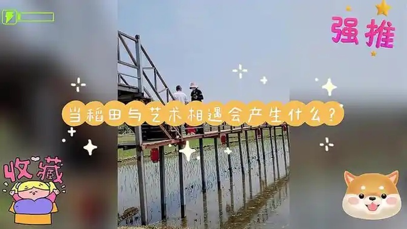 当稻田与艺术相遇会产生什么?