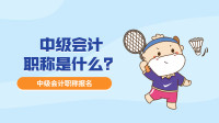 中级会计:中级会计职称是什么?