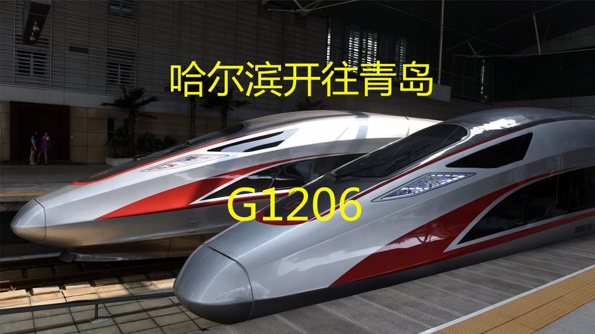 哈尔滨开往山东青岛,G1206途经长春沈阳天津,票价可真不便宜