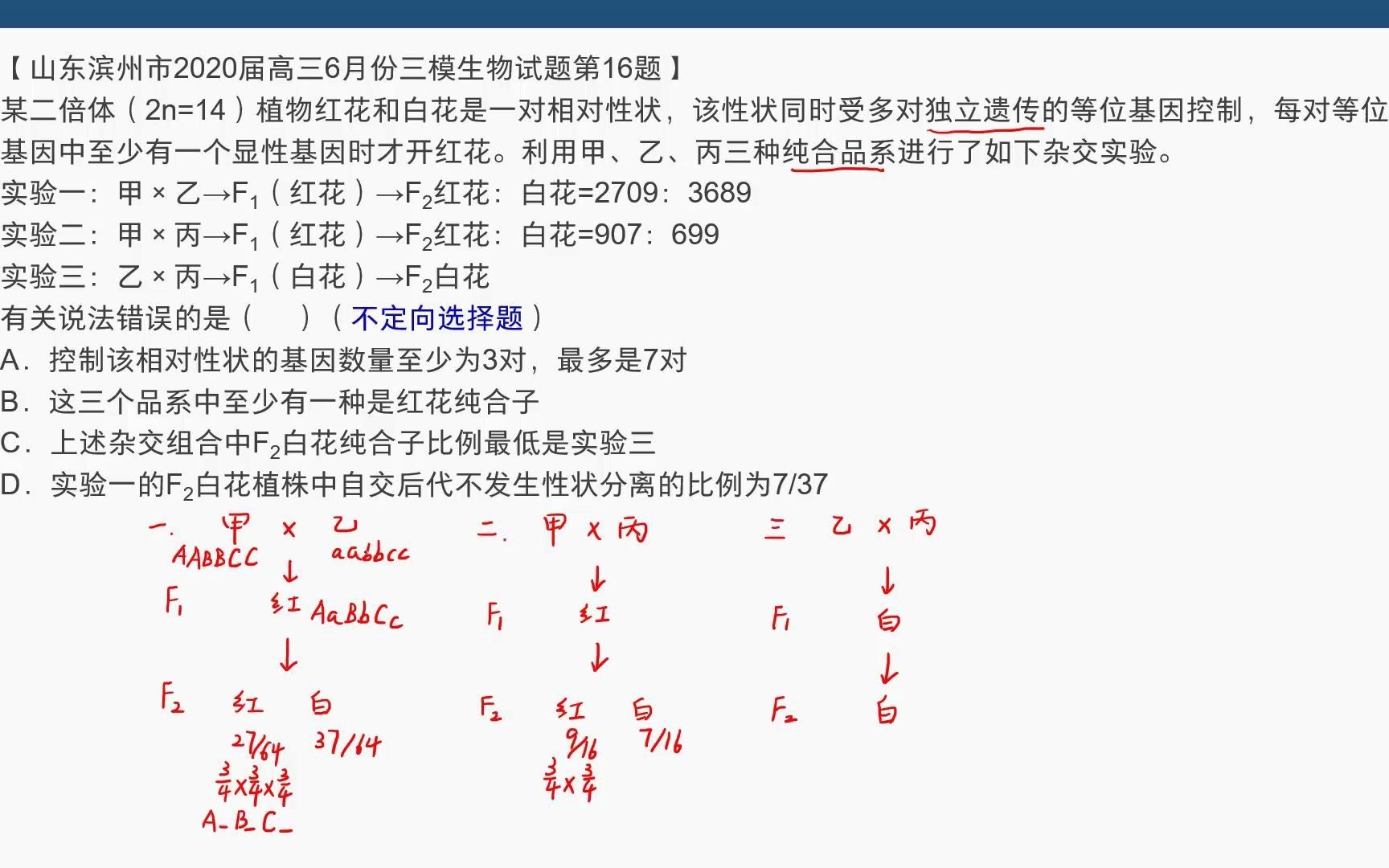 某二倍体(2n=14)植物红花和白花是一对相对性状,该性状同时受多对...