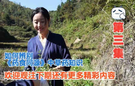 第3集 如何辨别《药食同源》中草药知识