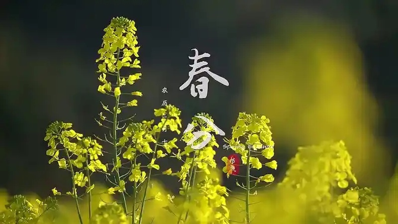 2025年惊蛰是几月几日哪一天