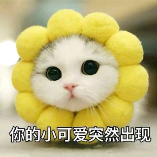 小黄帽爱睡觉 